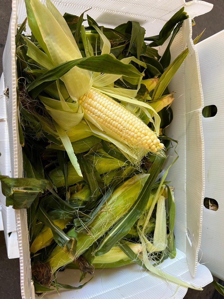 What would @OklahomaBway be without corn? A local Arizona farm provided ...