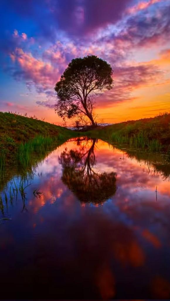 Mirror Reflection Nature Photography