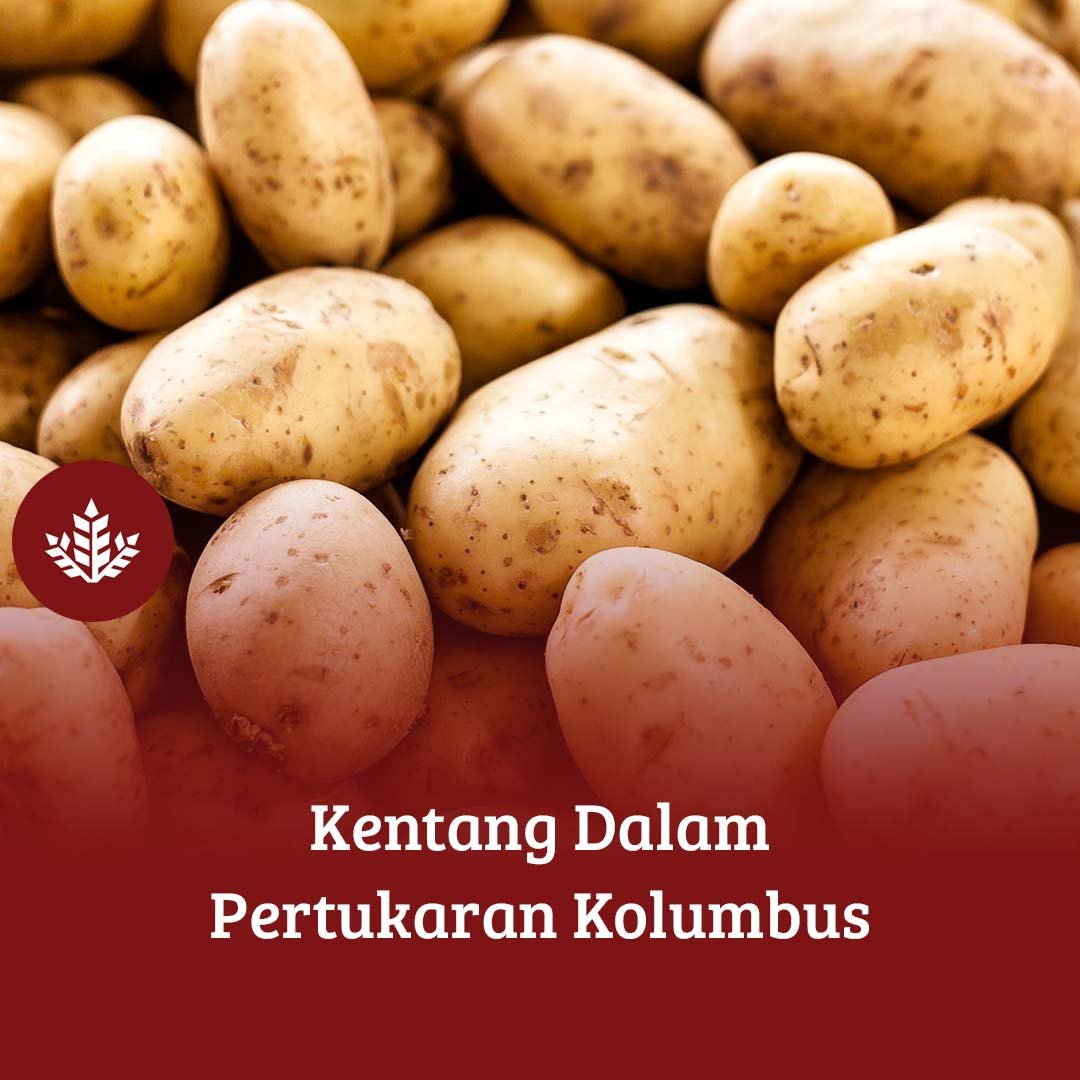 Ave Neohistorian! Tanaman-tanaman yang biasa kita konsumsi seperti ...