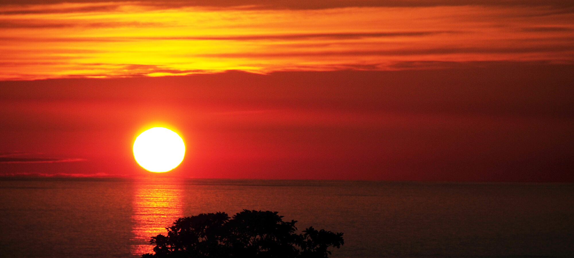 yuuki gotoh（hokkaido hotel&resort） (@furano_no_gotoh) / Twitter