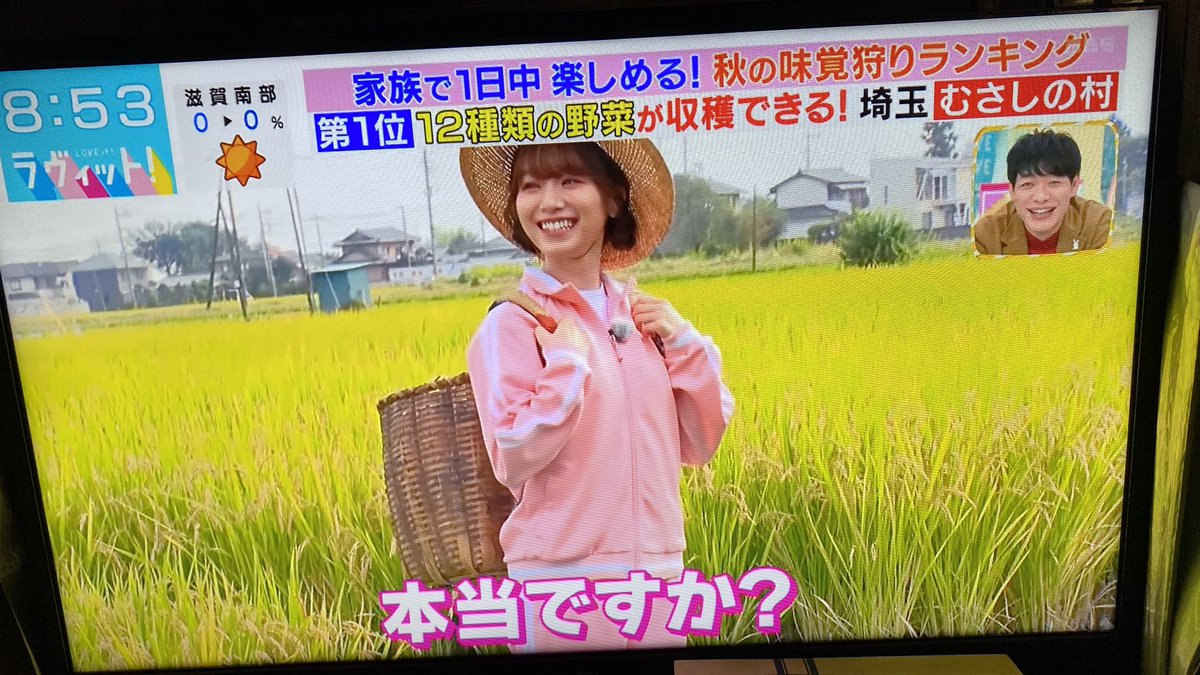 🍷日本 🍔ny 時々 España🇪🇸 On Twitter ラヴィット 朝から豪華‼️ 守屋麗奈 ビスケットブラザーズ タイムマシーン3号 Ww