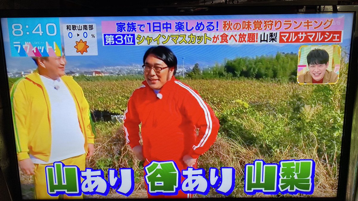 🍷日本 🍔ny 時々 España🇪🇸 On Twitter ラヴィット 朝から豪華‼️ 守屋麗奈 ビスケットブラザーズ タイムマシーン3号 Ww