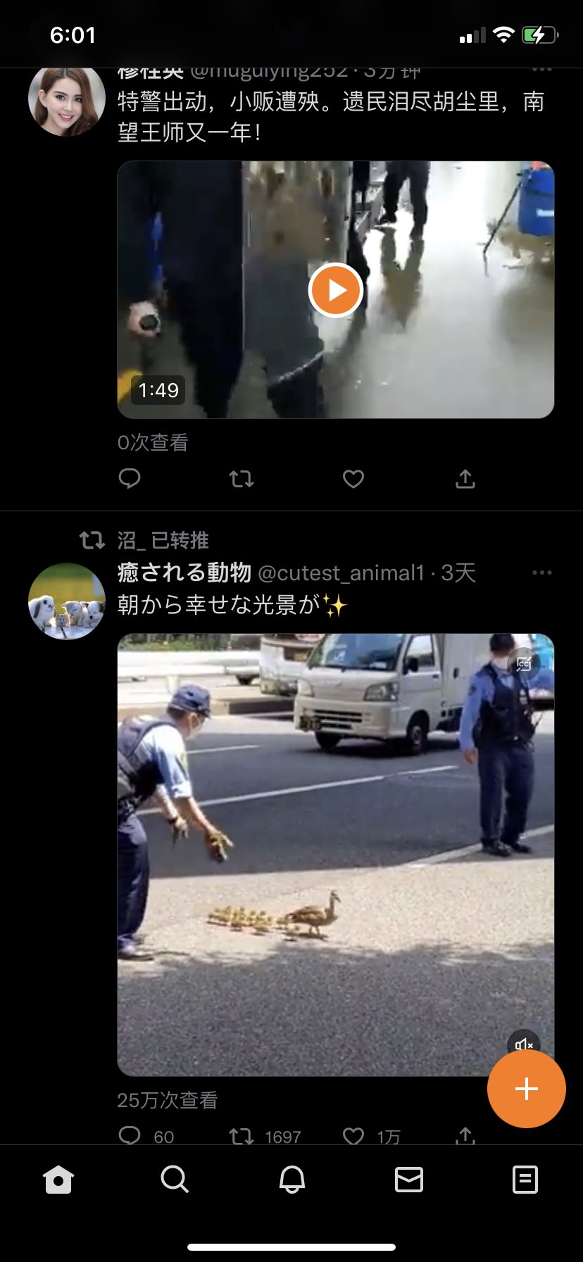 KUI YANG-葵阳先生 on Twitter: "推特是不是故意的？把这种反差超强的画面排在一起出现在我的时间线里。 https://t.co/tkzPFE3RjE" / Twitter