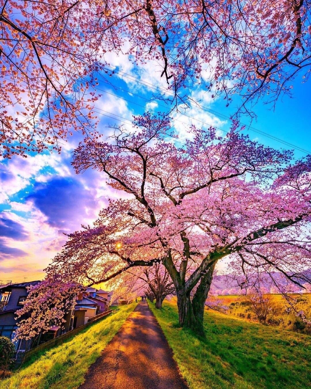 m_aqib_iqbal (@aqib_iqbal5) / Twitter