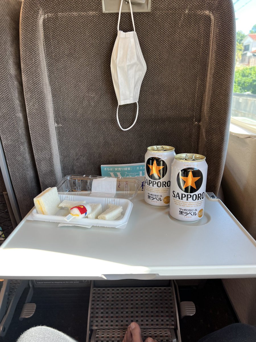 金バエ(禁酒1日目) On Twitter ガメラさんまたいつか会おうピィ