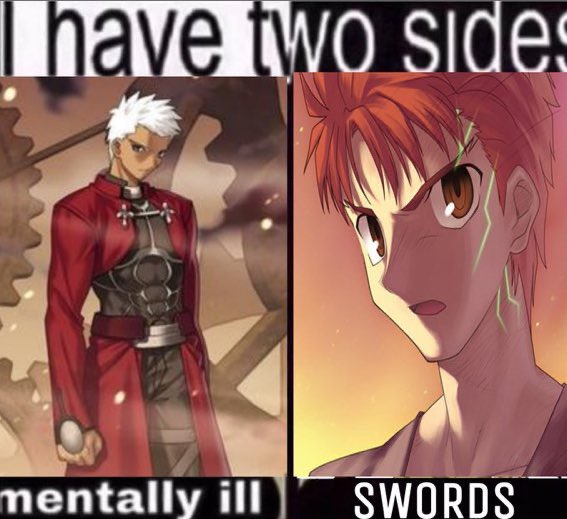 Shiro Ulv Memes Stay/Night And Heavens Feel Summed Up In One Image