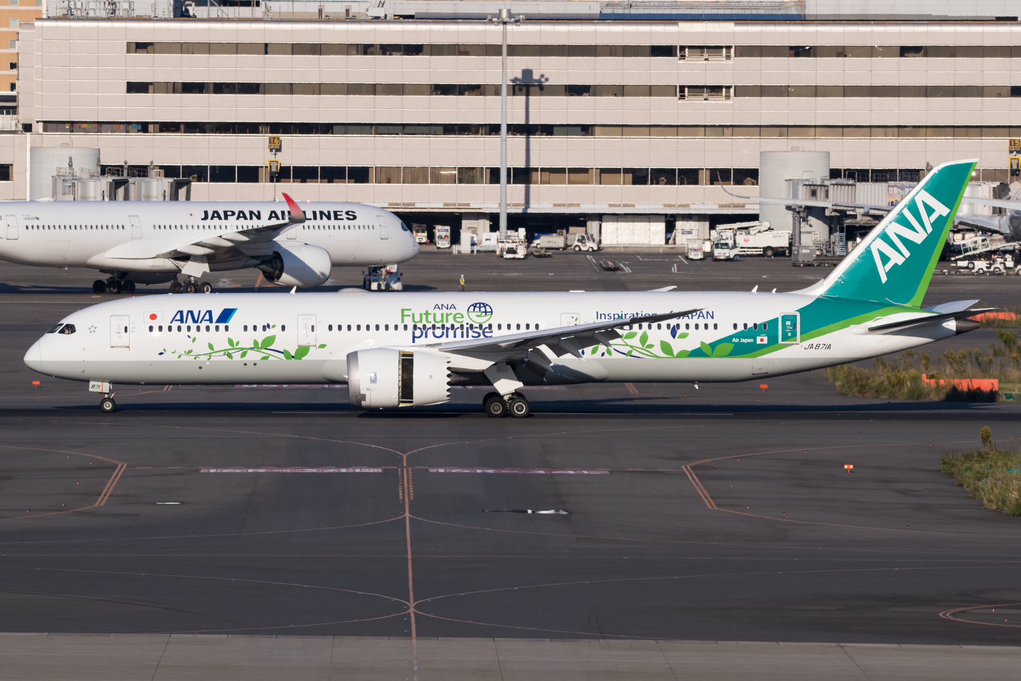 おがりょ on Twitter: "やっと昼間順光撮れました。 ANA Boeing 787-9 Dreamliner JA871A (ANA Future promise Livery ...