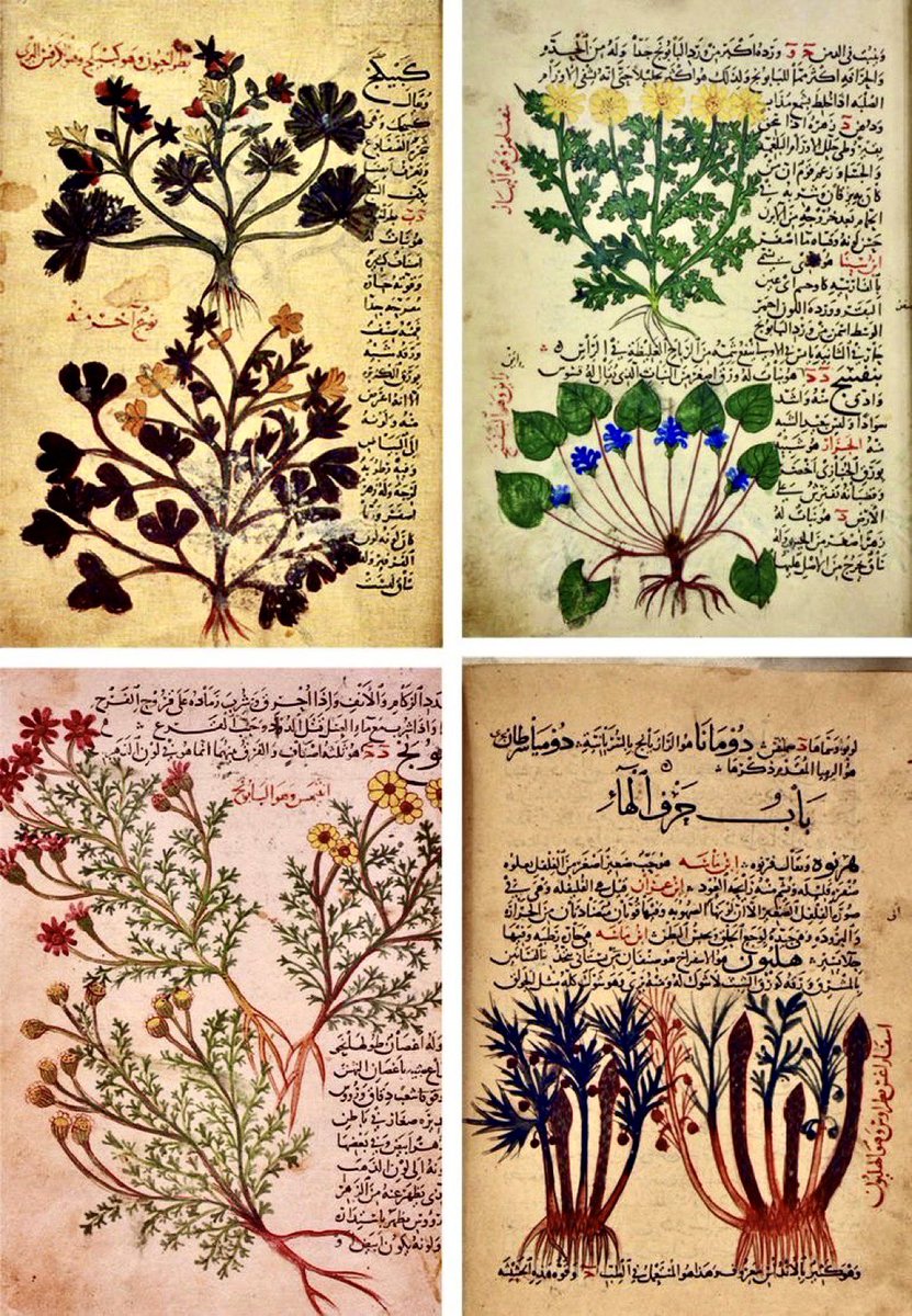 Scholars of Islamic culture contributed significantly to botany ...