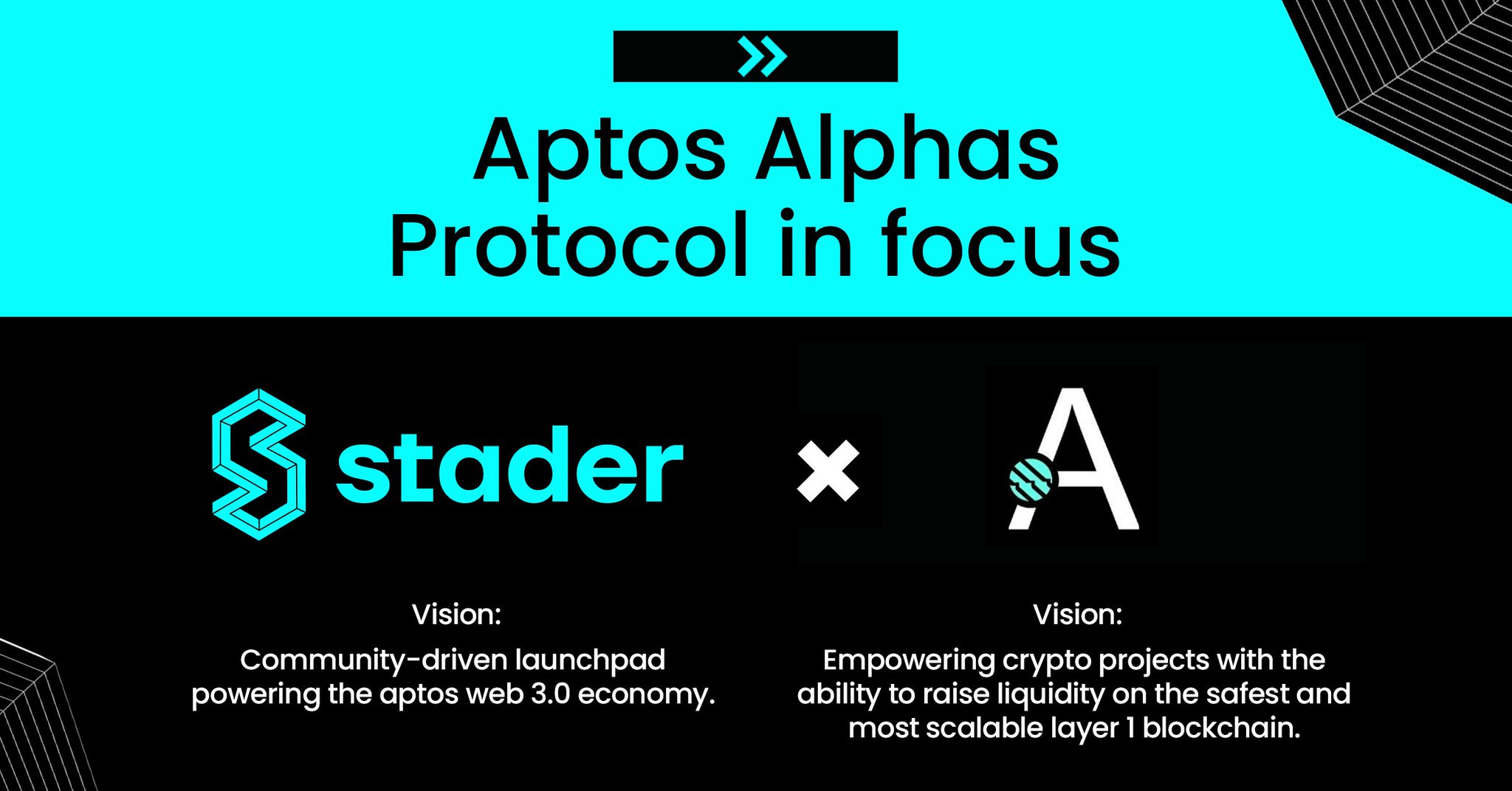 stader_aptos on Twitter: "@stader_aptos launches Aptos Alphas Initiative. We will be featuring ...