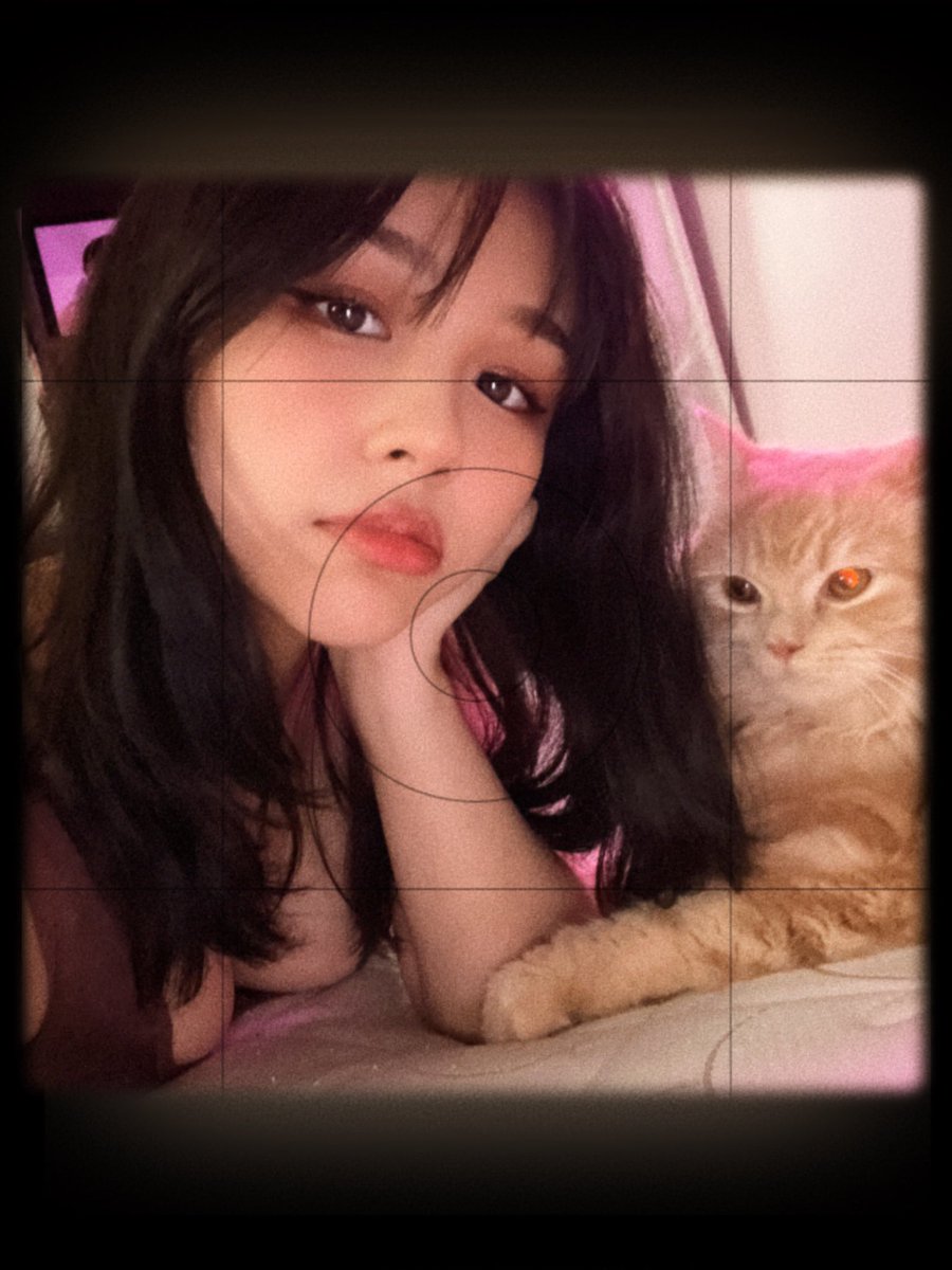 𝐎𝐀𝐒 𝐏𝐚𝐫𝐮 ♡ On Twitter My Cat Wanted To Say Hi So U Better Say It Back 😾
