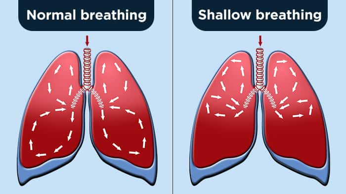 Recently finished reading the #book "Breath" by @MrJamesNestor I know ...