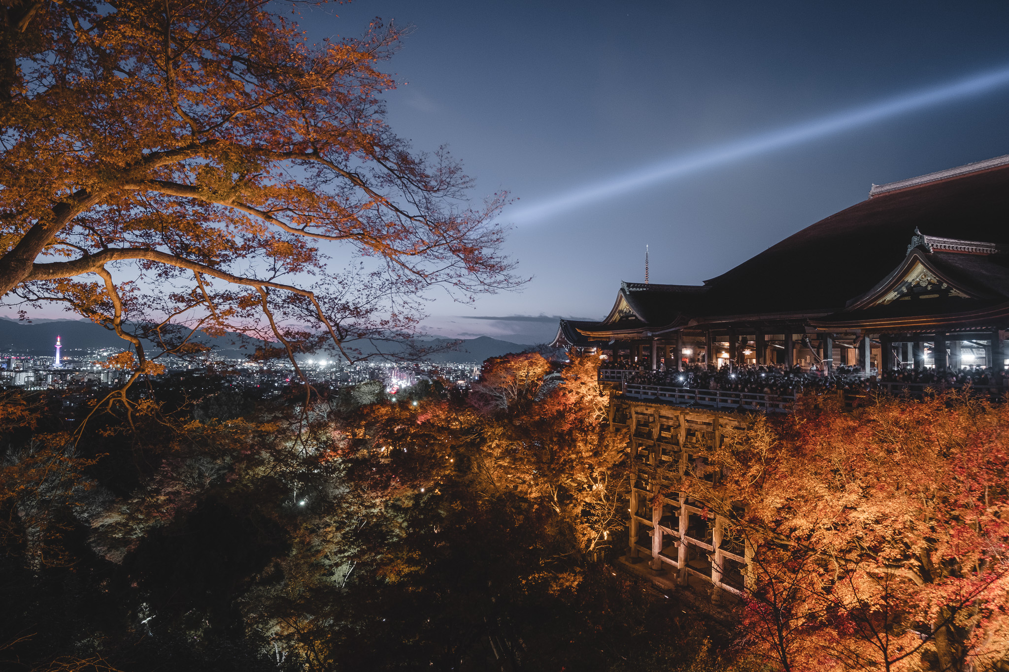 Ryota,F on Twitter: "秋の京都の行き先、きまりました？ https://t.co/cO0mKMzzo7" / Twitter