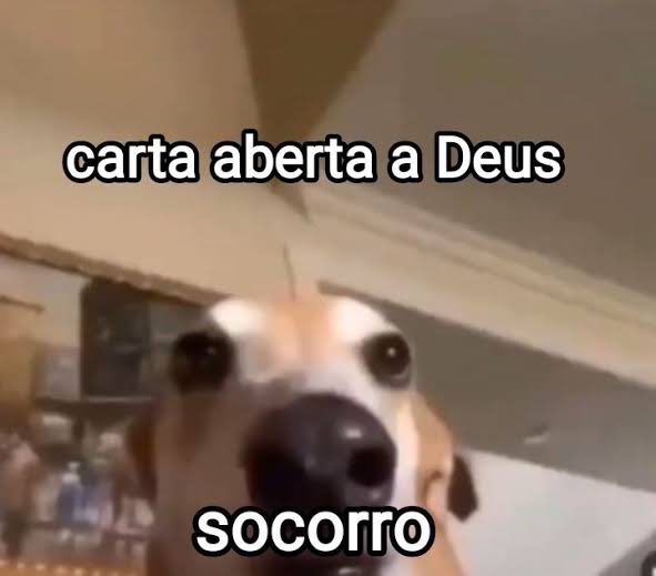 Flávia Machado on Twitter: Flávia Machado on Twitter: