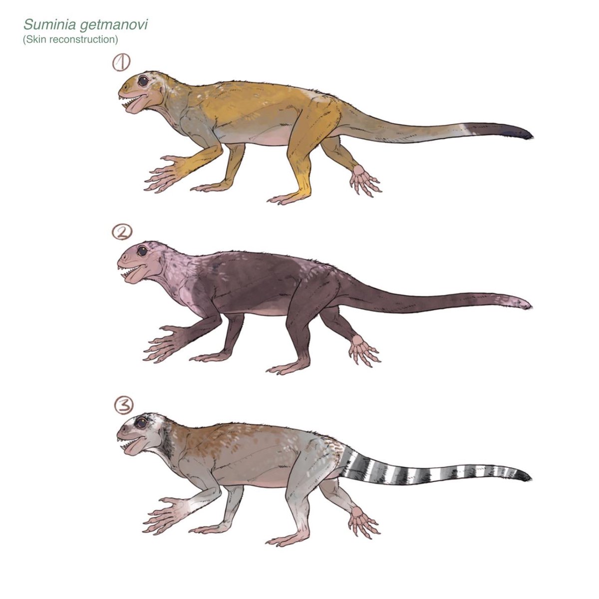 Miquel (@CamioDraws) さんのイラスト・マンガ作品まとめ (20 件) - Twoucan