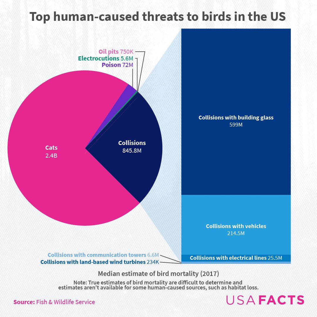 USAFacts On Twitter Let s Zoom In On collisions usafacts-on-twitter-let-s-zoom-in-on-collisions