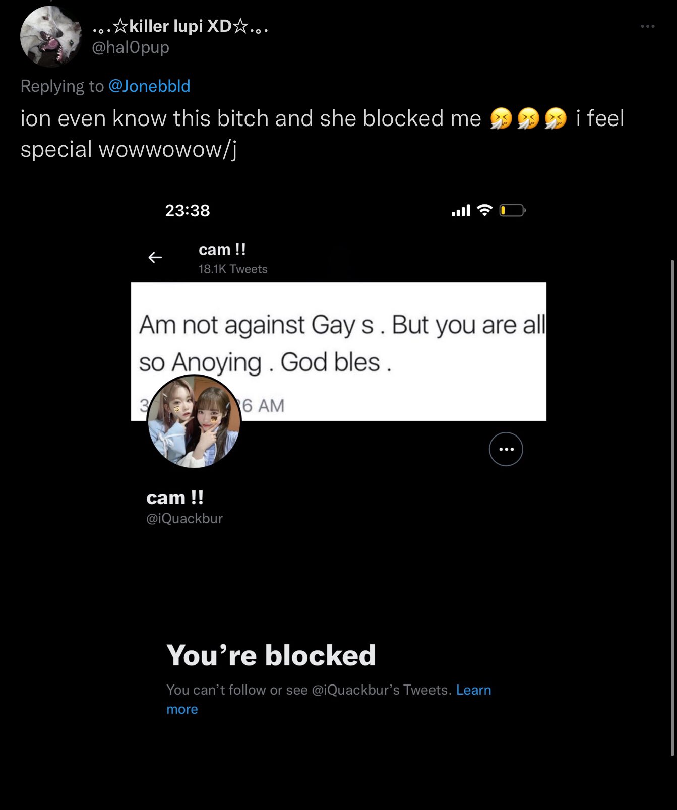 Cam On Twitter If One More Of U Annoying Ass Dream Stan