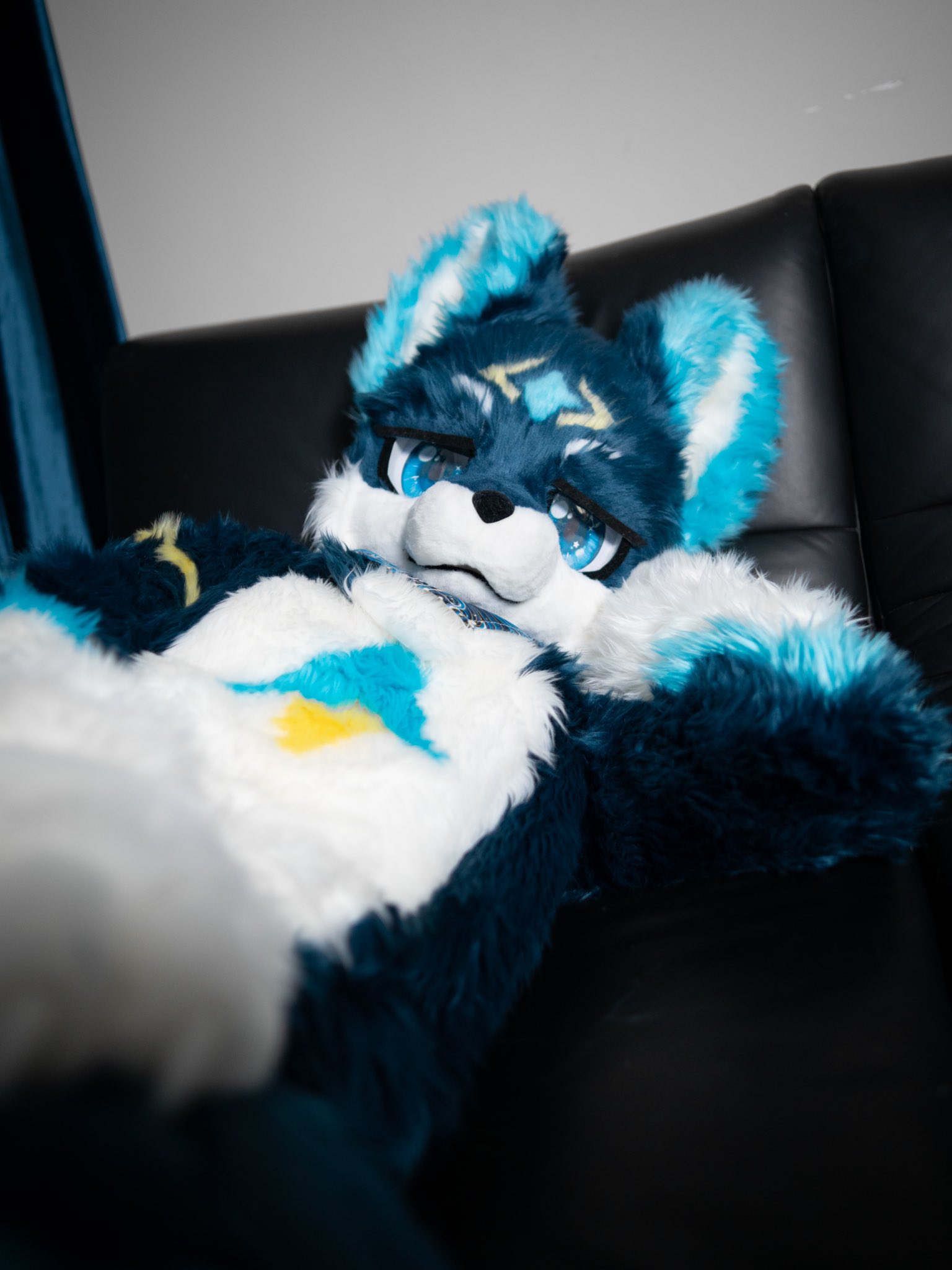 Whitedwarf on Twitter: "累了嗎，躺我身邊吧 #FursuitFriday https://t.co/d0JytdBfyk" / Twitter