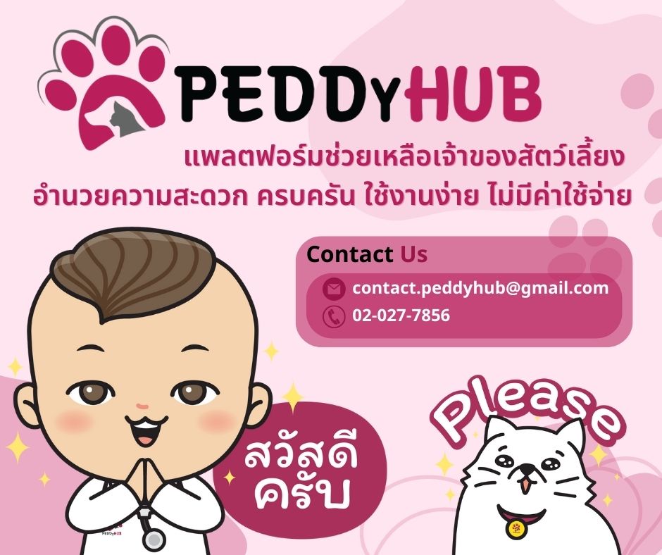 JS100 on Twitter: "สัตว์เลี้ยงหาย🐾หาไม่เจอ PEDDyHUB ช่วยคุณได้‼ 💬วิธีการสมัครสมาชิกเพียงแค่แอด ...