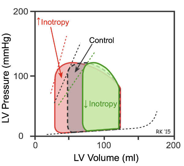 Do you ️ hemodynamics? How about PV loops? Here is Part I of our journey to to help YOU better ...
