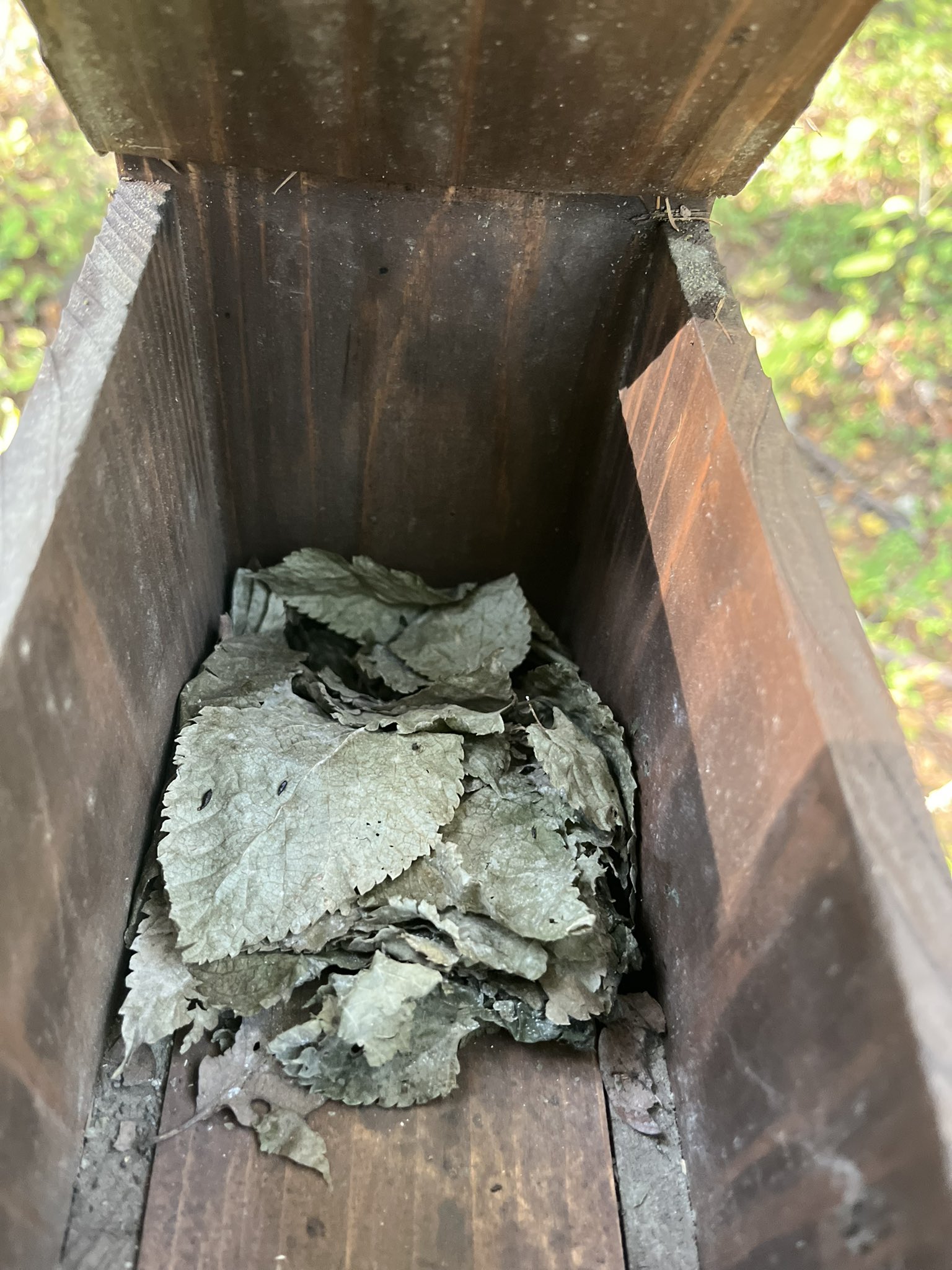 鈴木俊貴 Toshitaka Suzuki (@toshitaka_szk) / Twitter