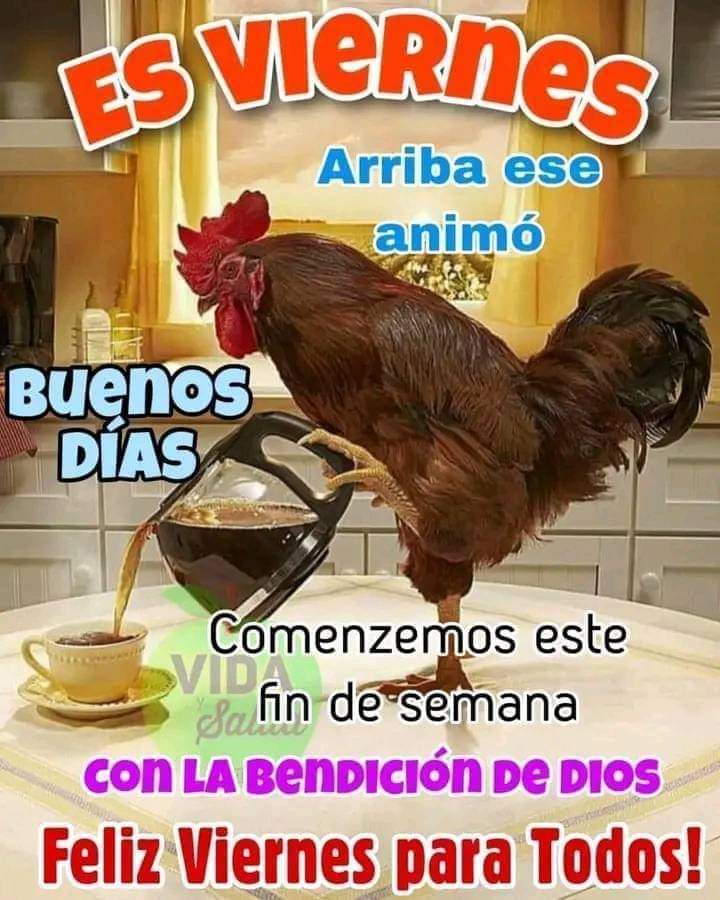 Buenos Dias Feliz Viernes Meme