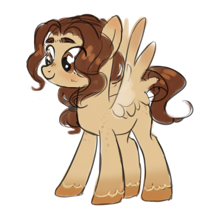 Pony Boy Oc
