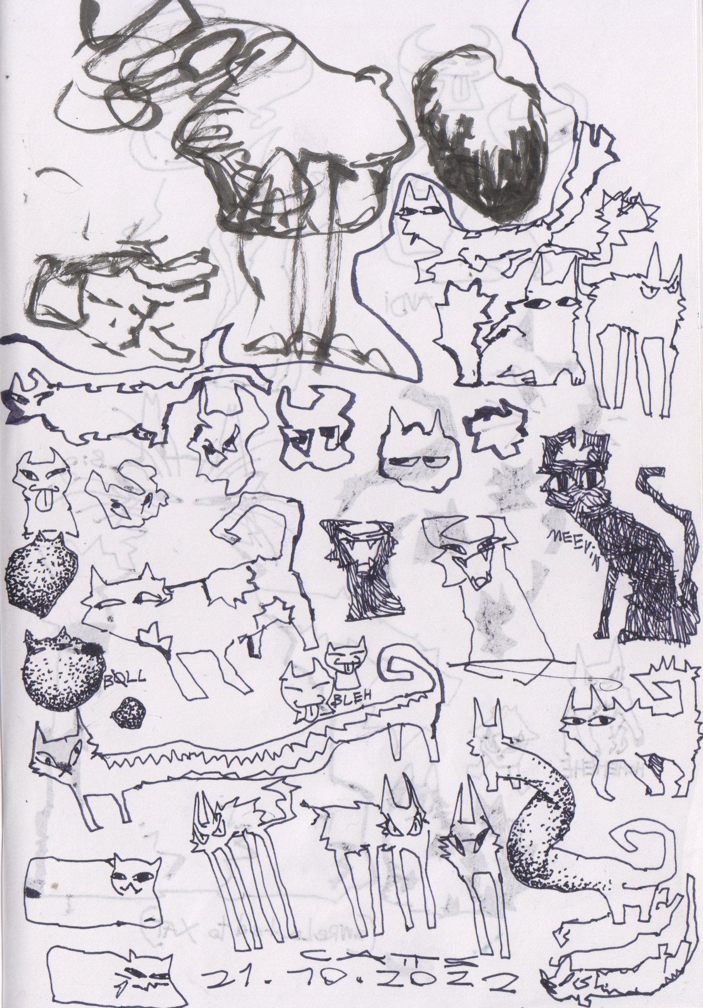 Pepsi HELL 🎃 on Twitter: "cat scribbles https://t.co/QZvKvkAENu" / Twitter