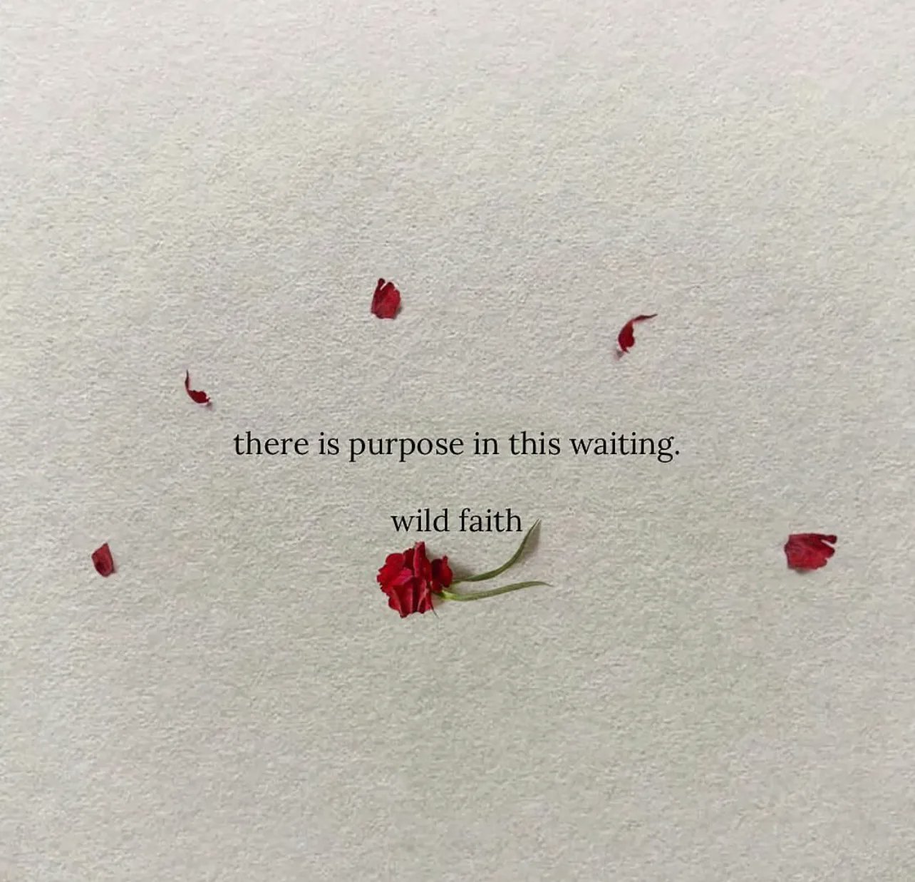 WISE CONNECTOR™ 💬 on Twitter: "trust the timing https://t.co/61NX8yfvye" / Twitter