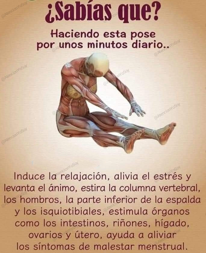 Yo Soy Atenci贸n on Twitter: Yo Soy Atenci贸n on Twitter: