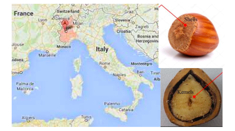 Nutella is one the world's favorite sweets. The invention of the ...