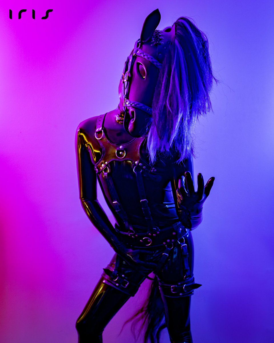 Spoopy & Goopy JΛMIEvx 🏳️‍⚧️🏳️‍🌈 on Twitter: "RT @latex_iris: Shiny pony 🐴🖤💜