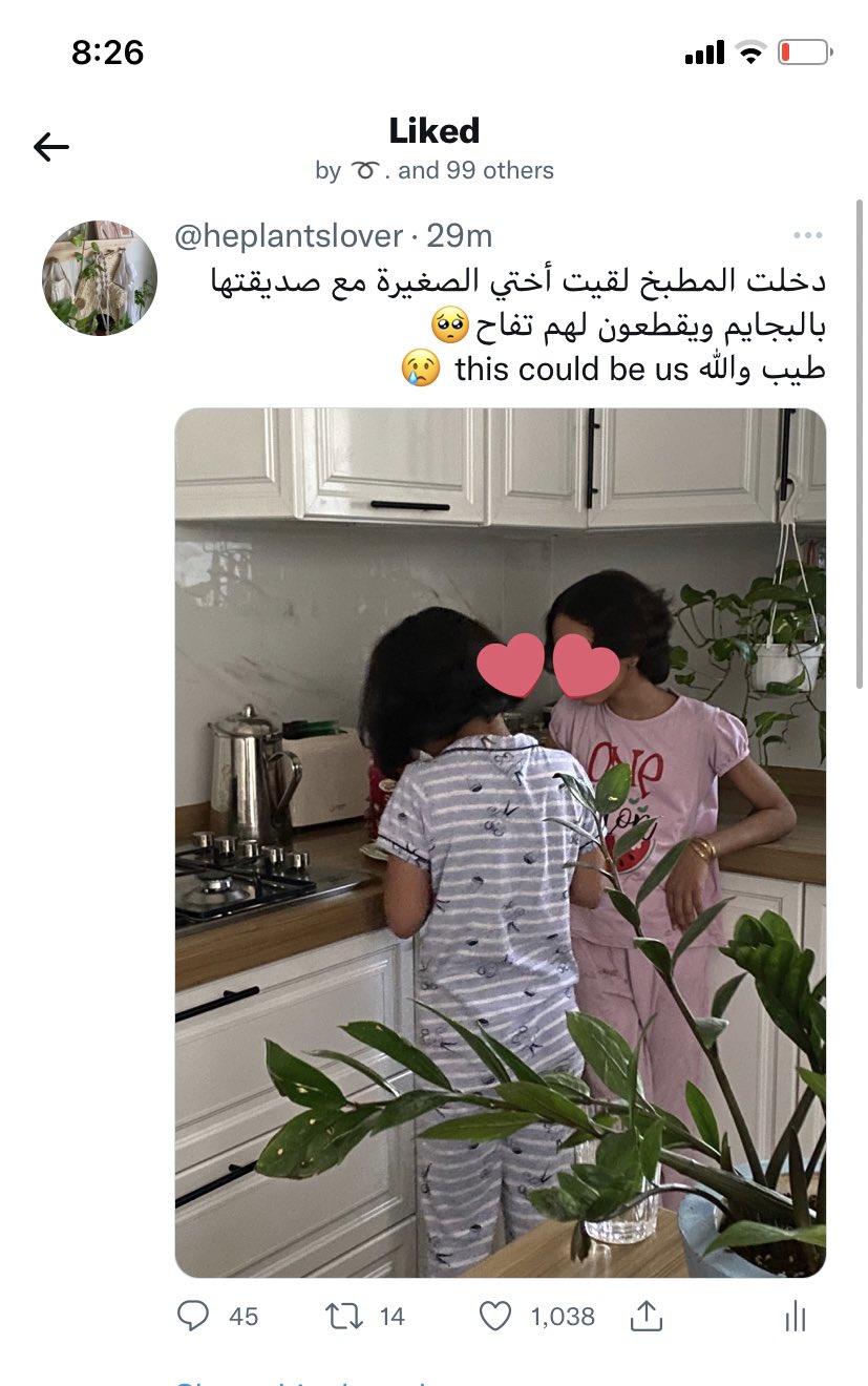 𝗔𝗯𝗱𝘂𝗹𝗹𝗮h on Twitter: "@yaserff767 @heplantslover وش معنى" / Twitter