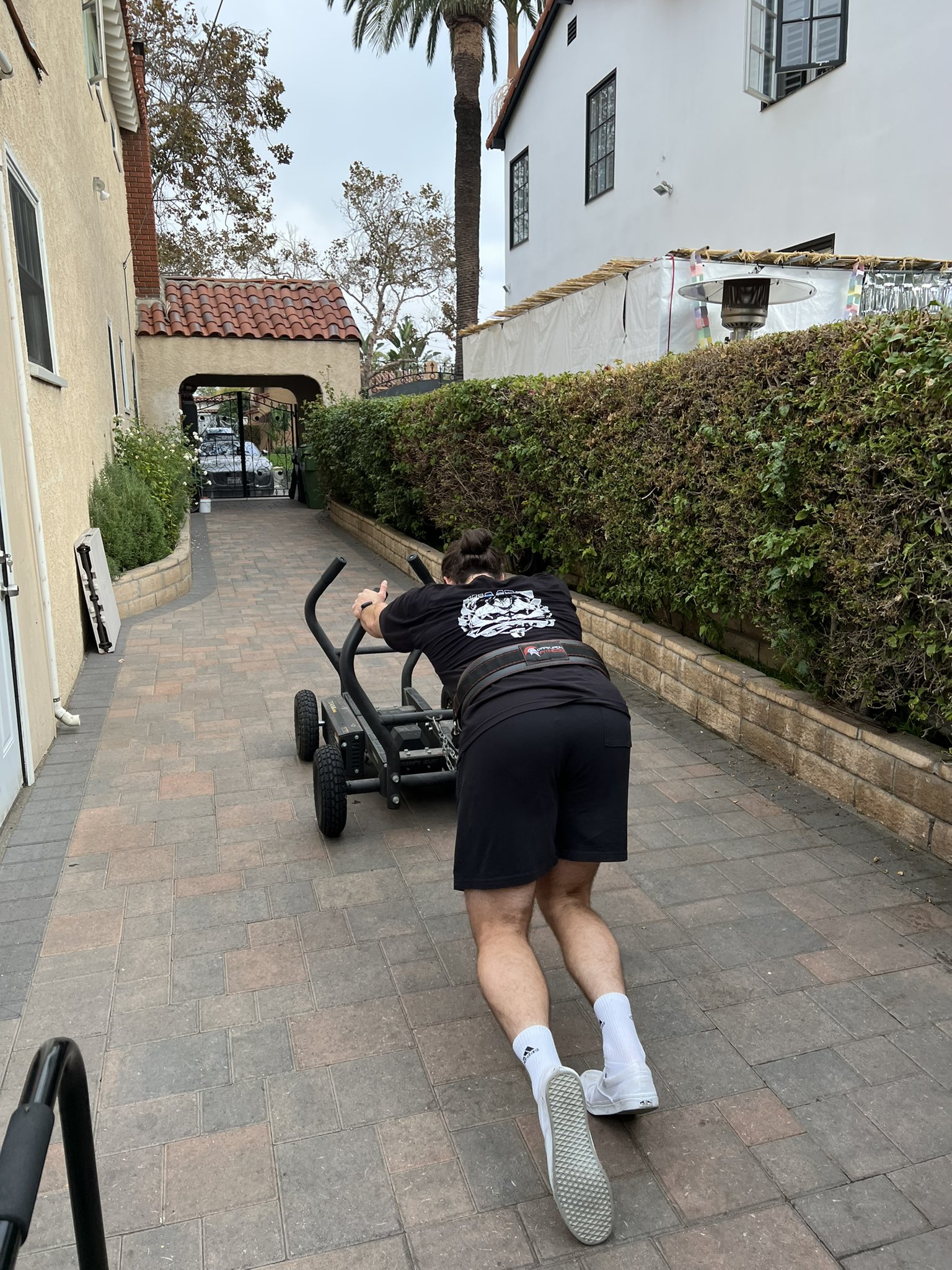 hasanbabi on Twitter: "himbo fitness comes out in 10 mins https://t.co/Ply5hYlqqV https://t.co ...