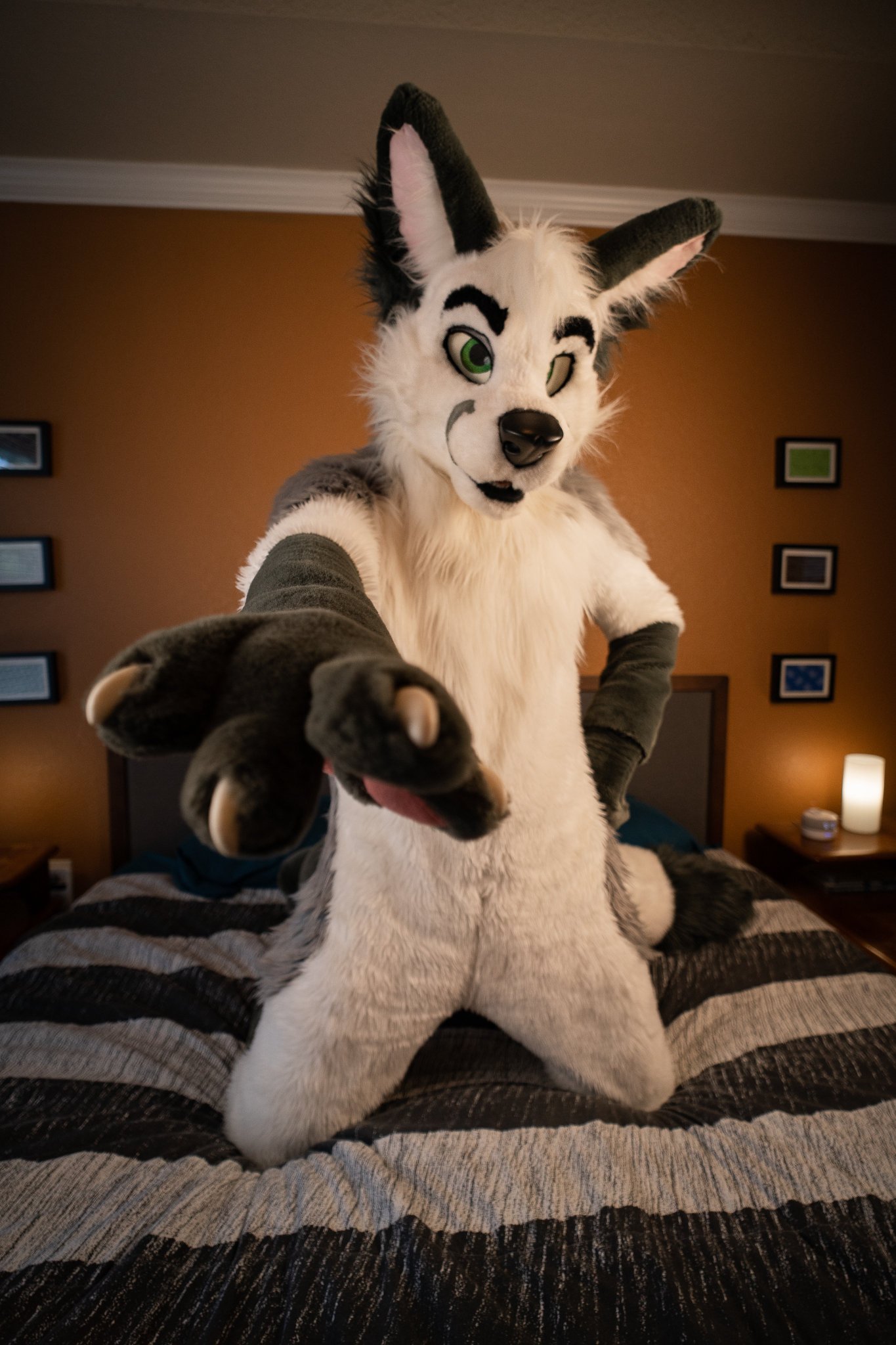 🛥 Liquor Captain 👨🏻‍ ️ on Twitter: "I want YOU... on this bed with me 😉 #FursuitFriday ️ ...