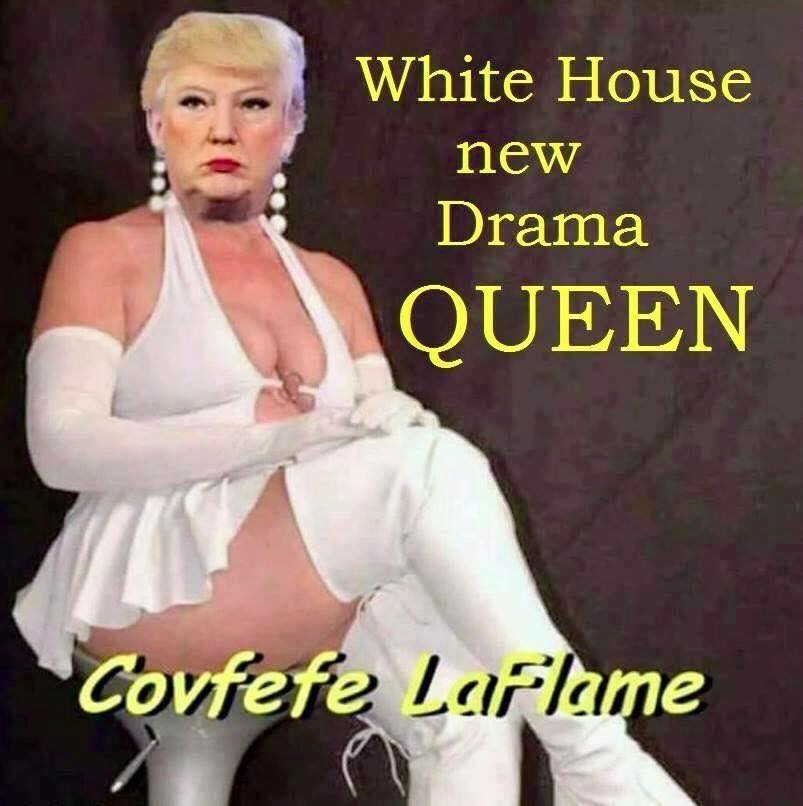 Covfefe LaFlame - Democratic Underground Forums