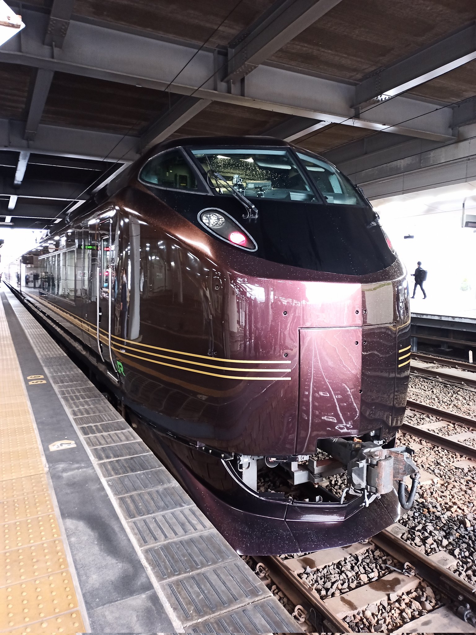 坂本みろく(20) on Twitter: "秋田駅にて団体専用E655系なごみ横手行き https://t.co/FYZNC5sZXa" / Twitter