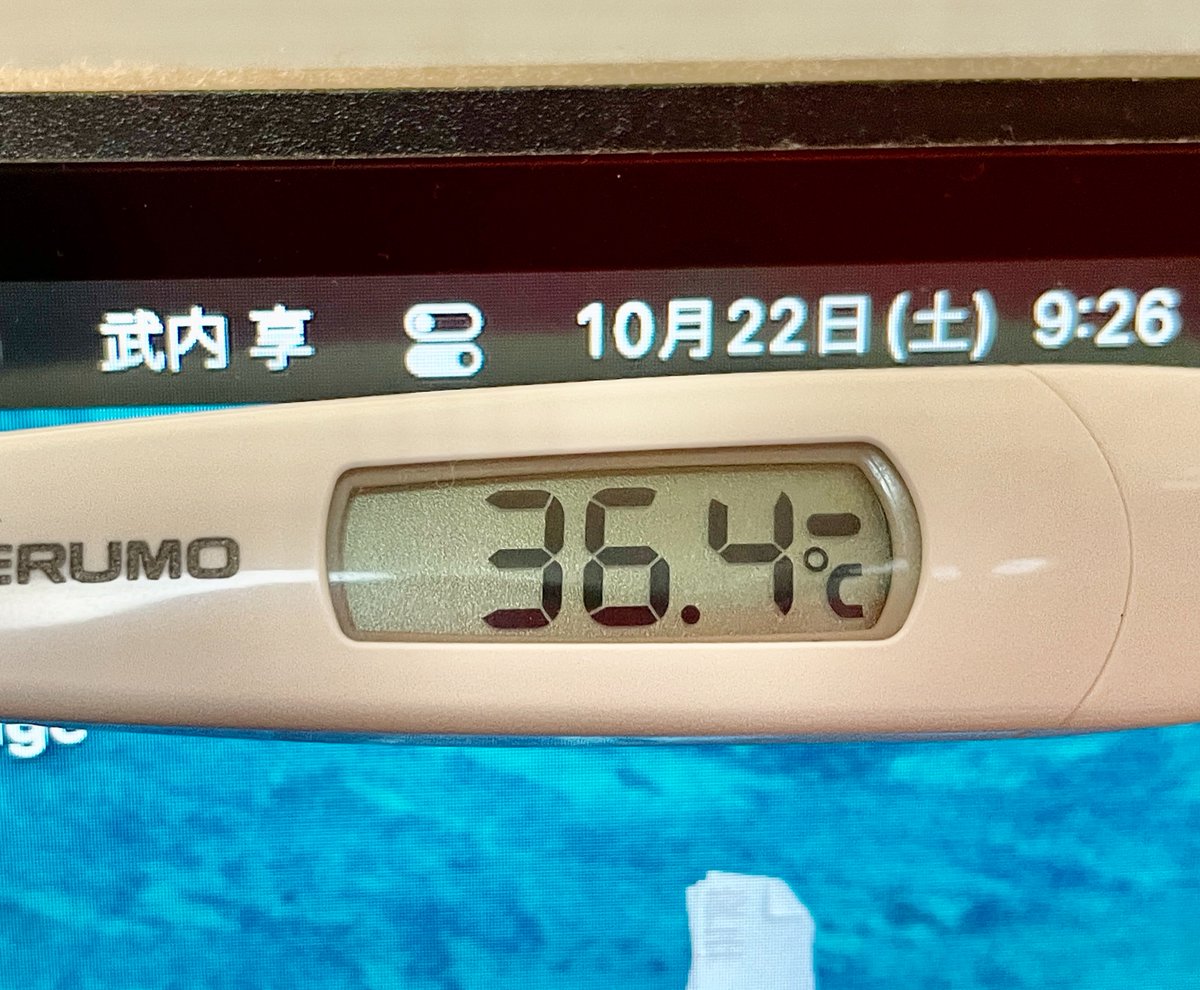 武内享 On Twitter みんなおはよう!今日もブイブイで!いっぱい寝て元気いっぱい!朝写真撮ってヨーグルト食べてストレッチも完了・・腕立て伏せだけやっとくか(笑)東京は雲多め。体温