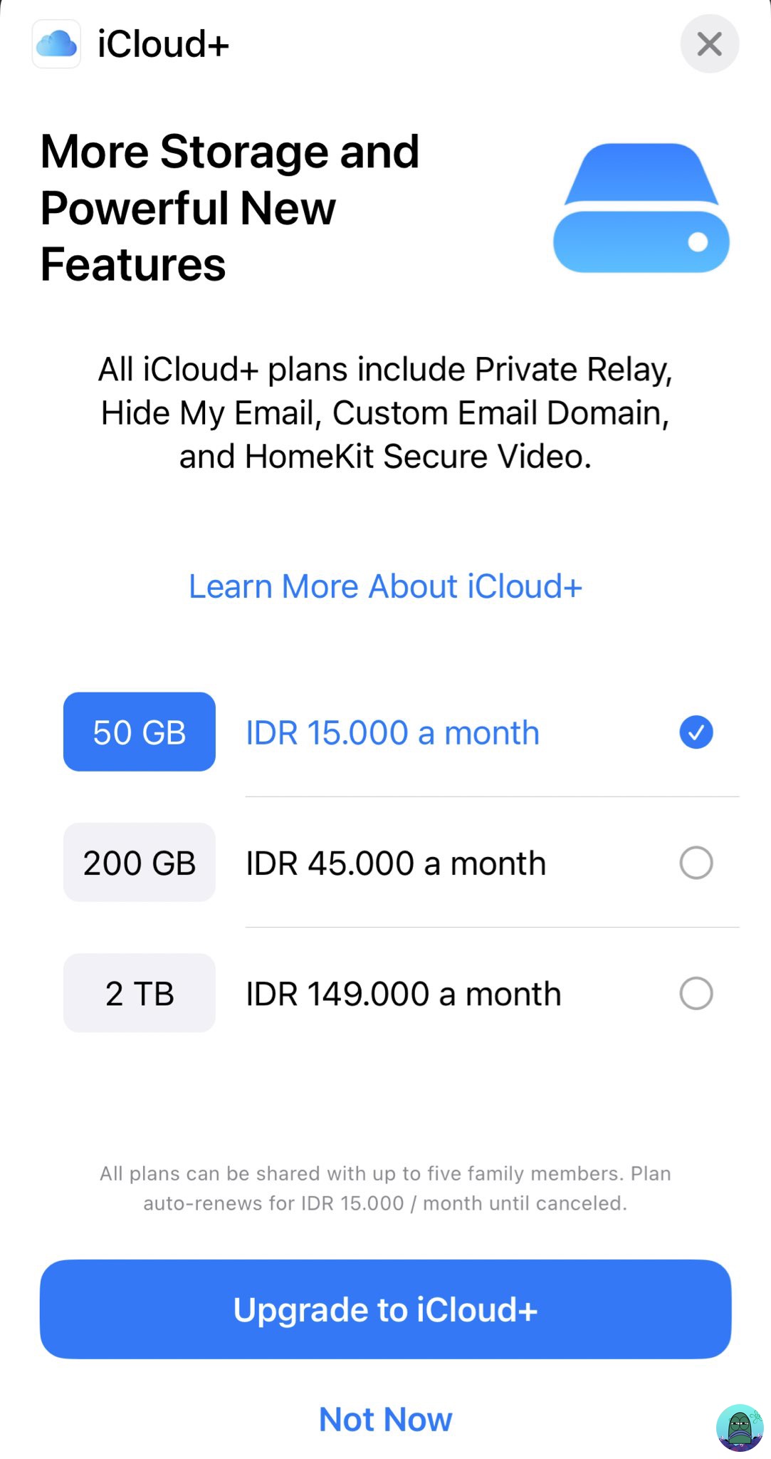 Tanyarl on Twitter: "💚 kalian tim back up ke laptop atau tim b e l i ...
