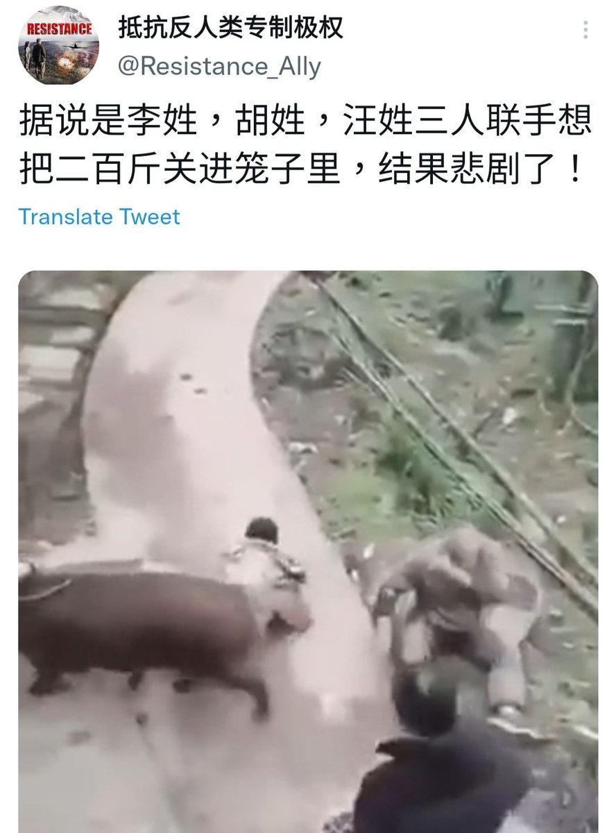 抵抗反人类专制极权 On Twitter 抵抗专制极权同盟内线盟友消息被完全证实!
