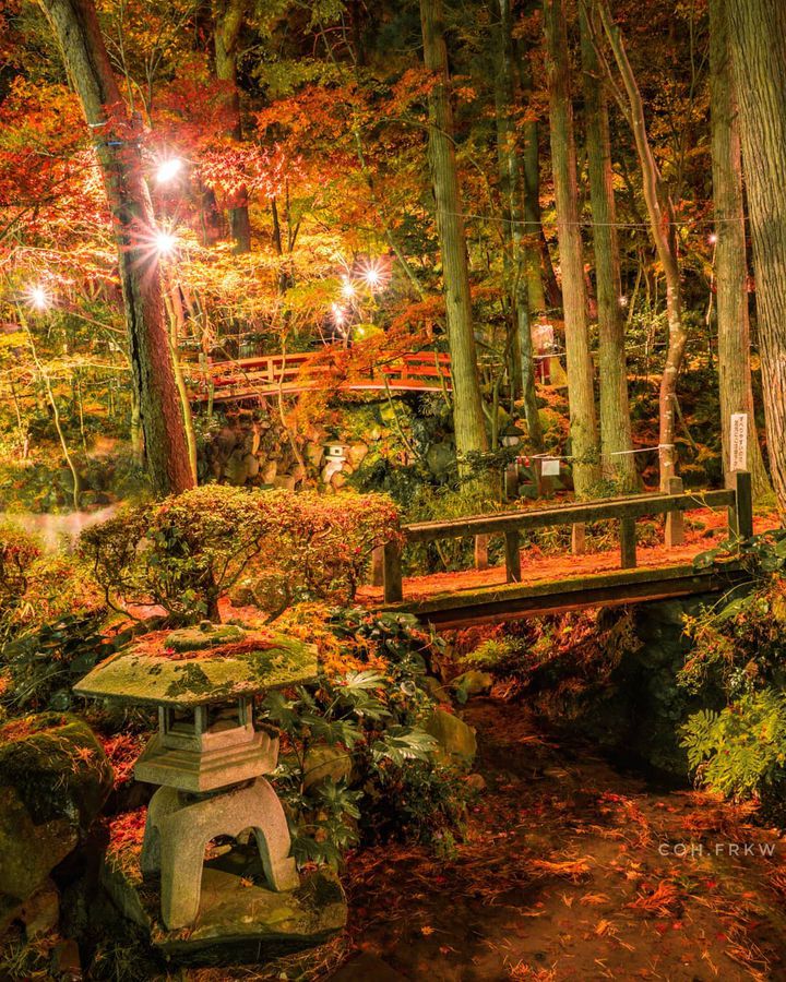 RETRIP＜公式＞ on Twitter: "まさに今が見頃！「甲信越地方」のこの秋行きたい紅葉スポット11選 ️ https://t.co/4fGxfdsJjZ https://t.co ...