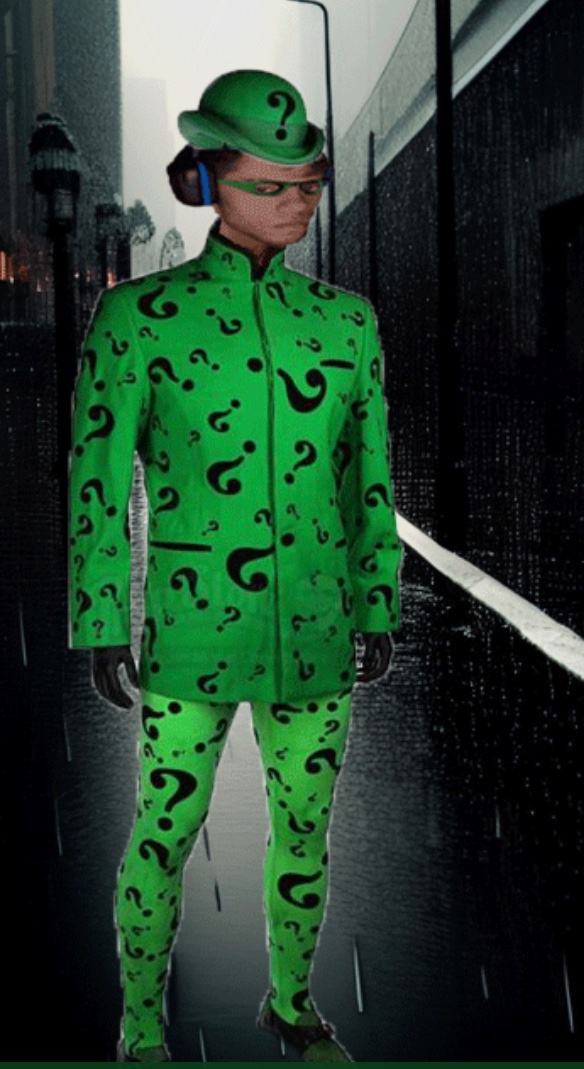 Riddler Dog Costume