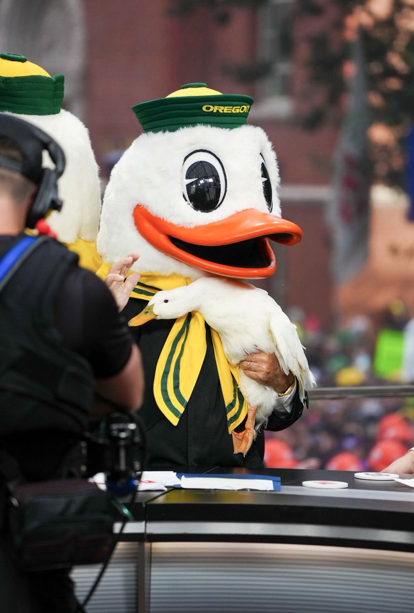 Shayne on Twitter: "RT @GoDucks: 🦆 #GoDucks"