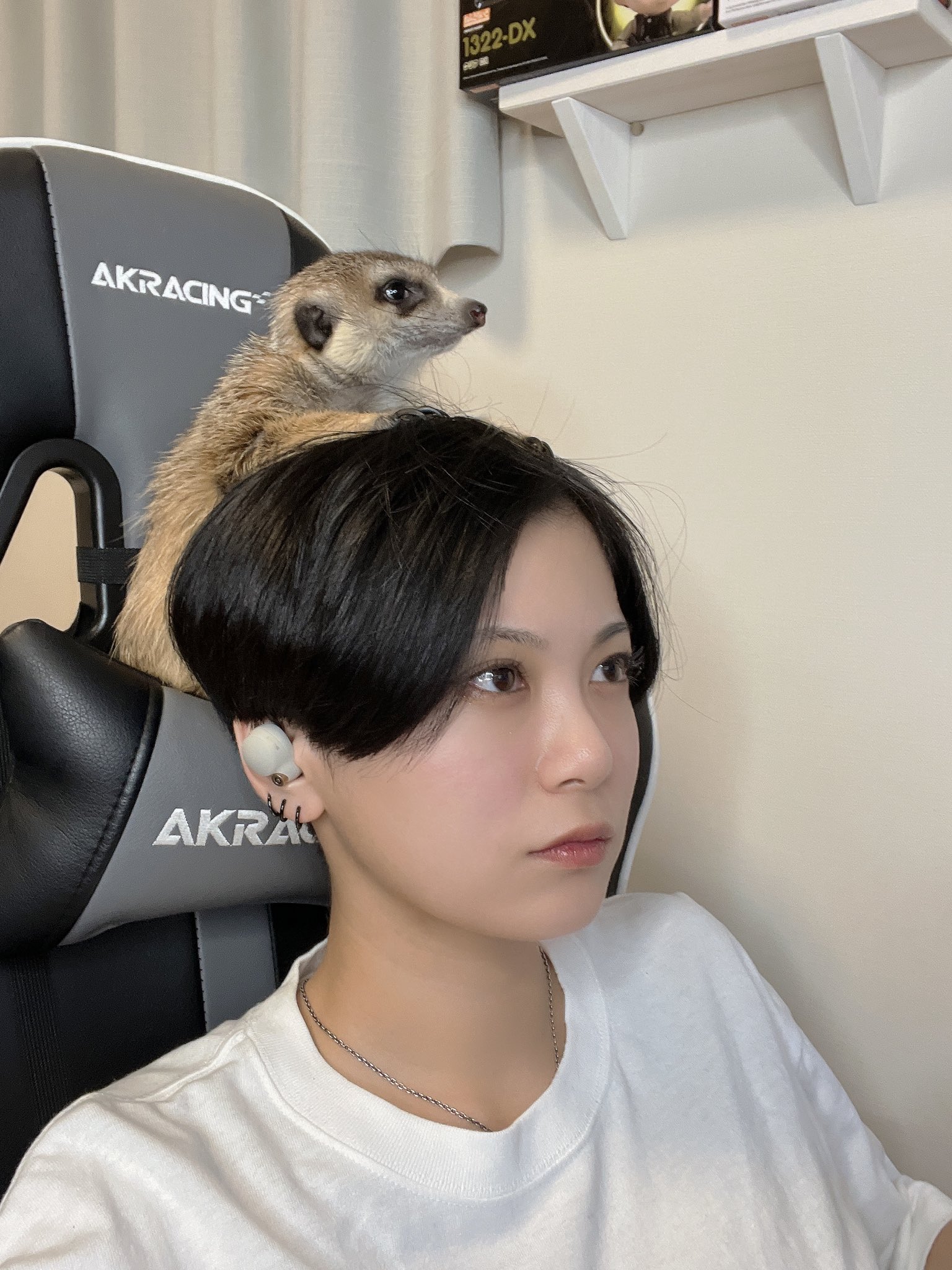 RaMu on Twitter: "同時視聴配信なう。 https://t.co/YHPeZ7EU94 #annkw https://t.co/7aCeoSNn99" / Twitter