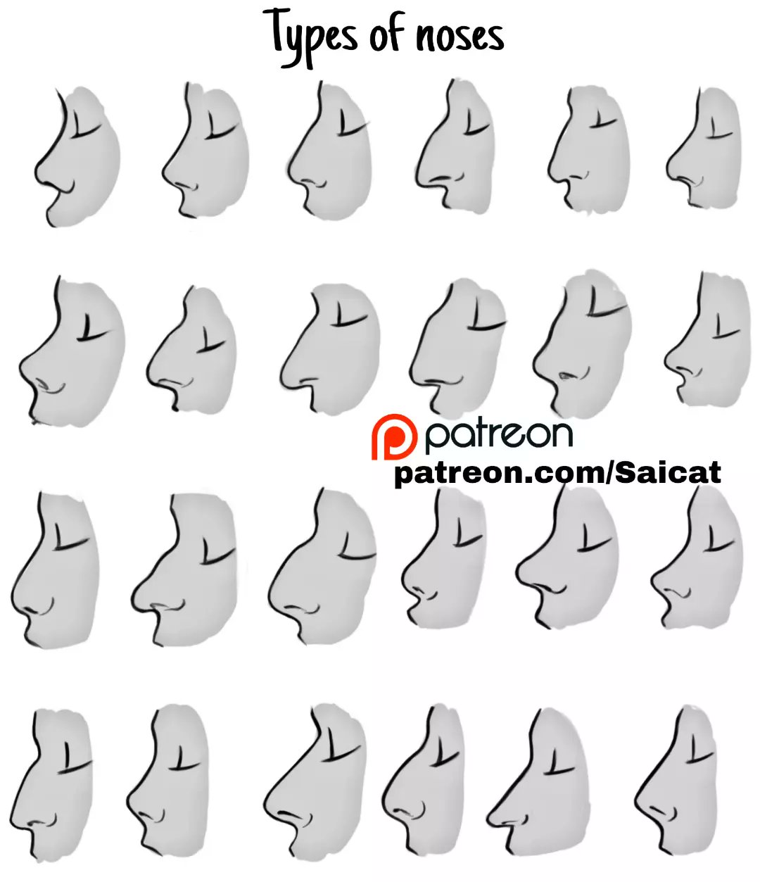 Types Of Male Noses