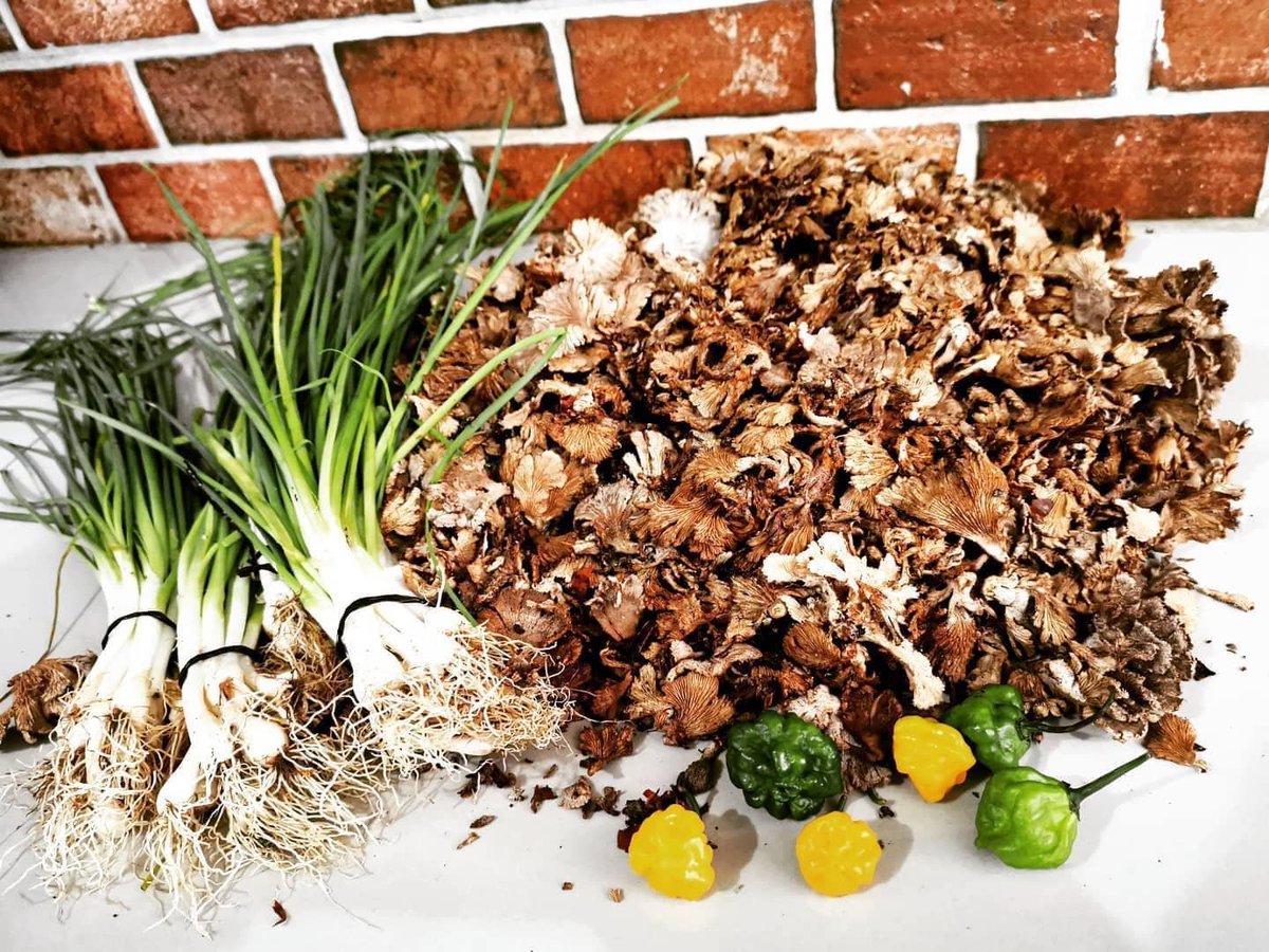 ¿Conoces el tziquinché? 😮🍄🇬🇹 Este delicioso hongo se come en ...