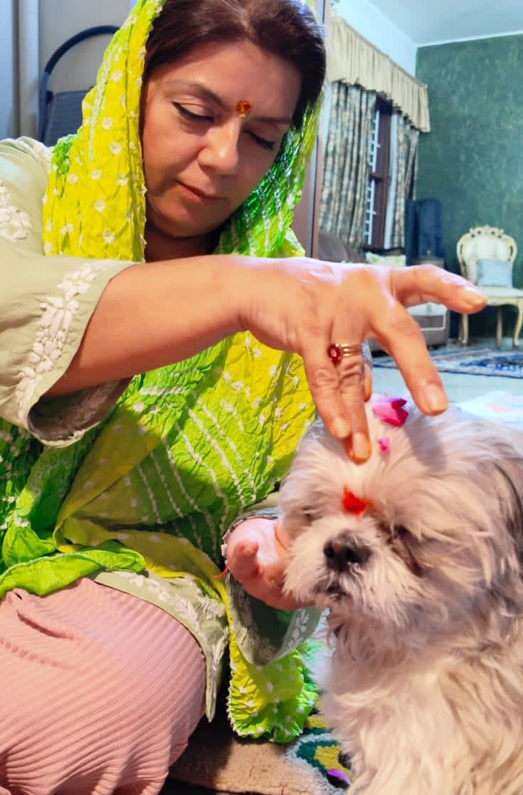 #Dhanteras Pooja in #MyMandir Don’t be apologetic, decolonise your ...