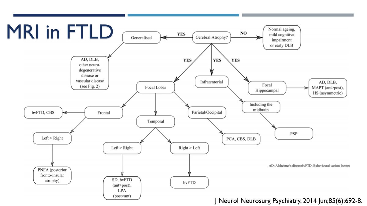 Frontotemporal dementia: spectrum, criteria and clinical peculiarities ...