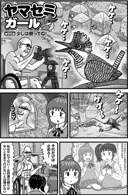 日曜日の朝といったらこの漫画でしょう!お待たせしました!ヤマセミガール9 ヤマセミボーイ さんのマンガ ツイコミ仮