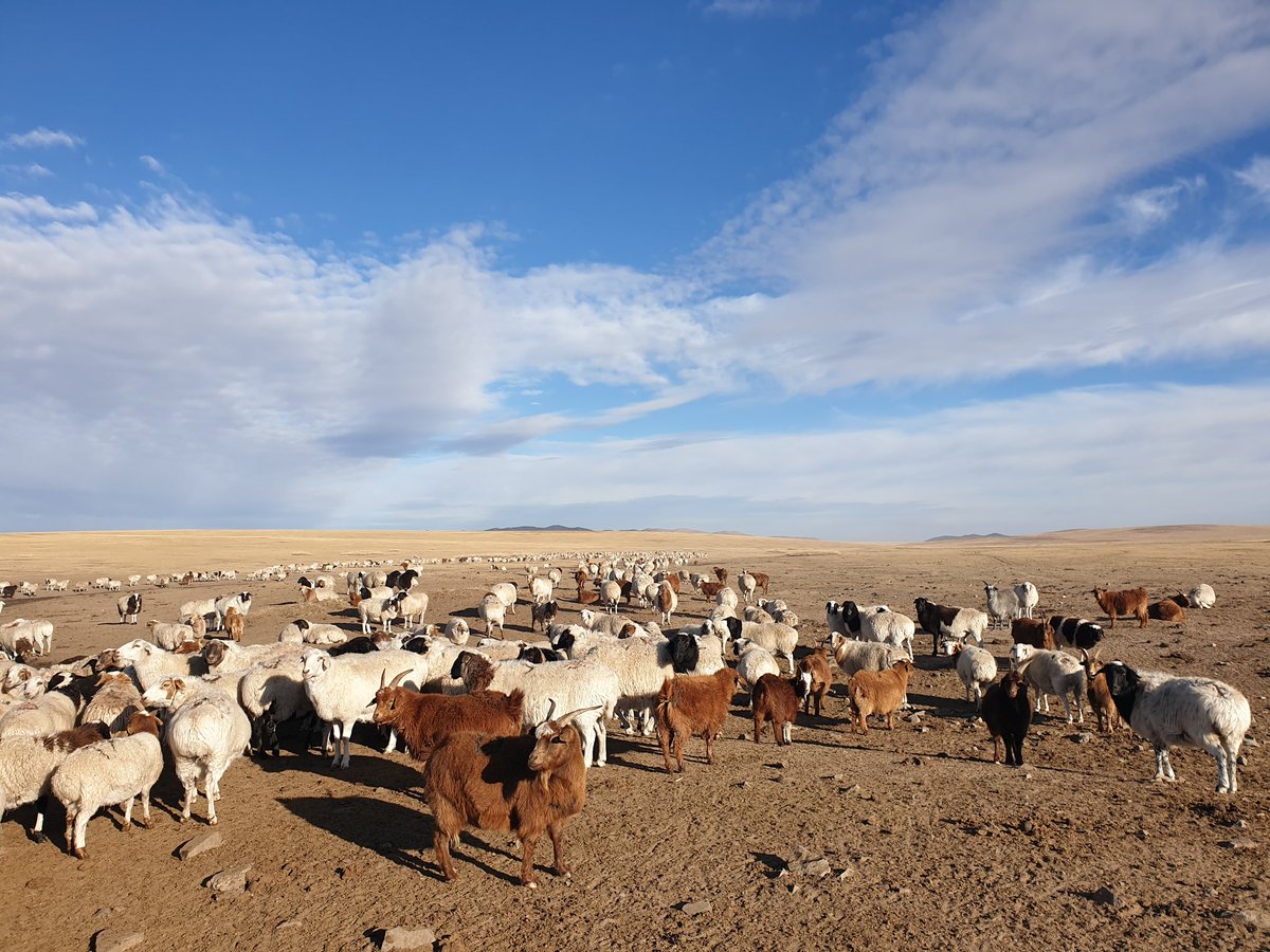 Undp Mongolia On Twitter Rt Yusuketaishi Im Wrapping Up My Visit