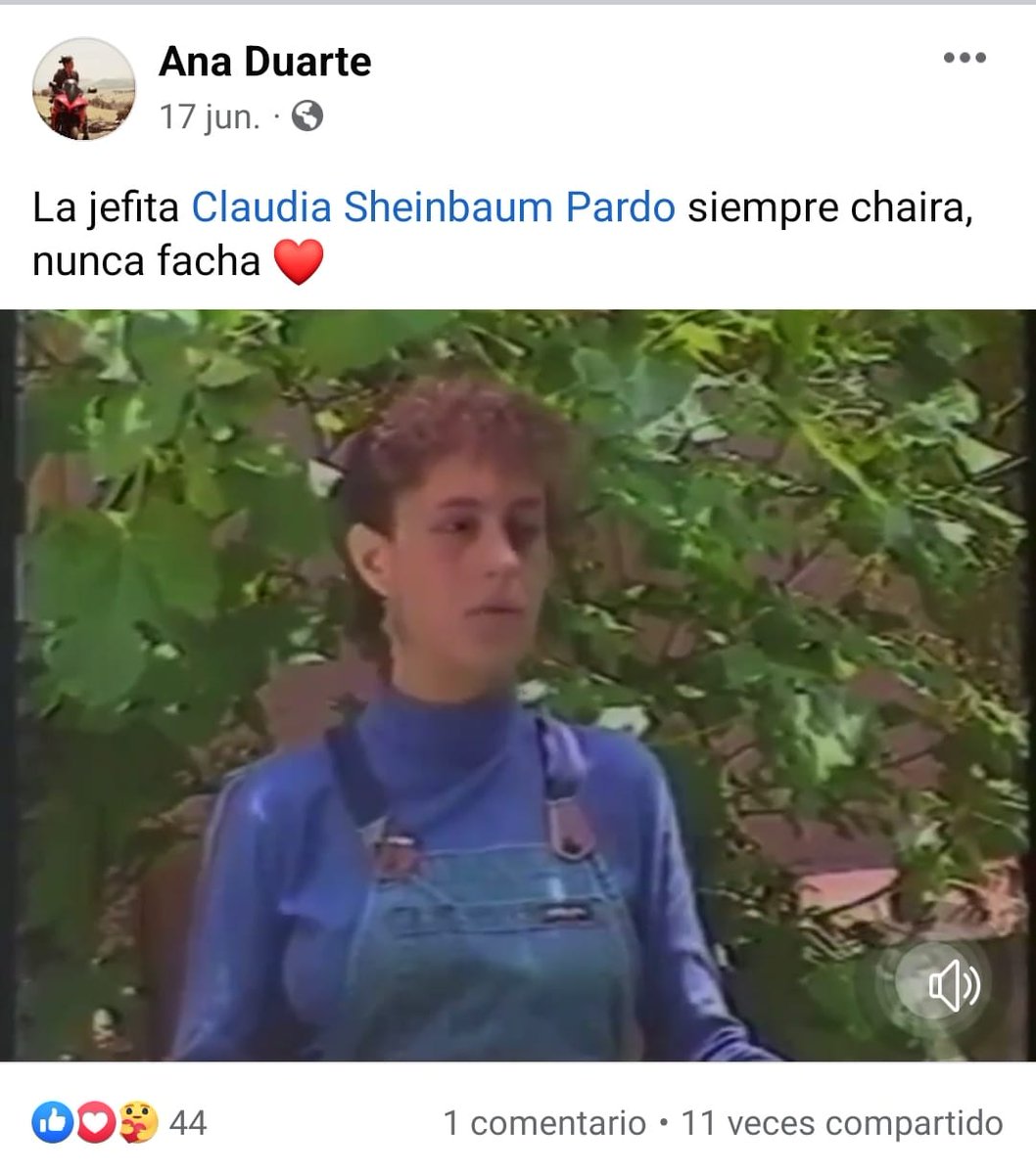 Víctor M. Chávez Ogazón 🐾 on Twitter: Víctor M. Chávez Ogazón 🐾 on Twitter: